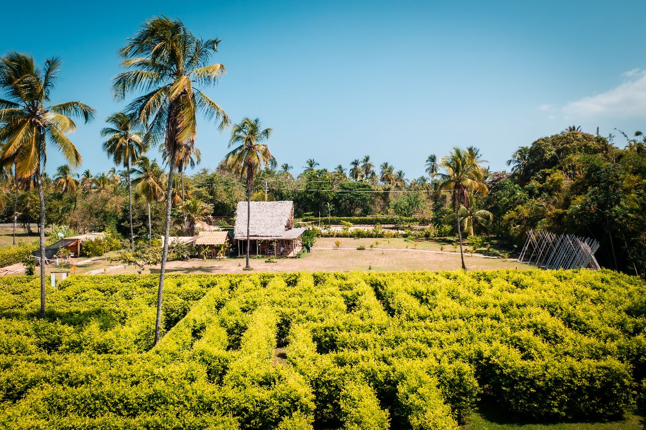 PASADIA EN LABERINTO NATURAL Y TUBING DON DIEGO