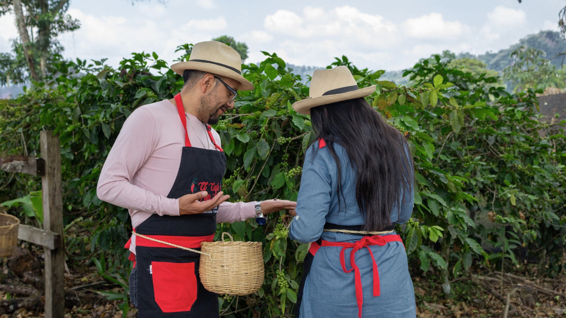 Tour por Finca Cafetera /Tour diario por finca cafetera